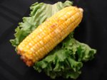 Corn on the Cob (fresh) – 1 petite | ACP, Inc.